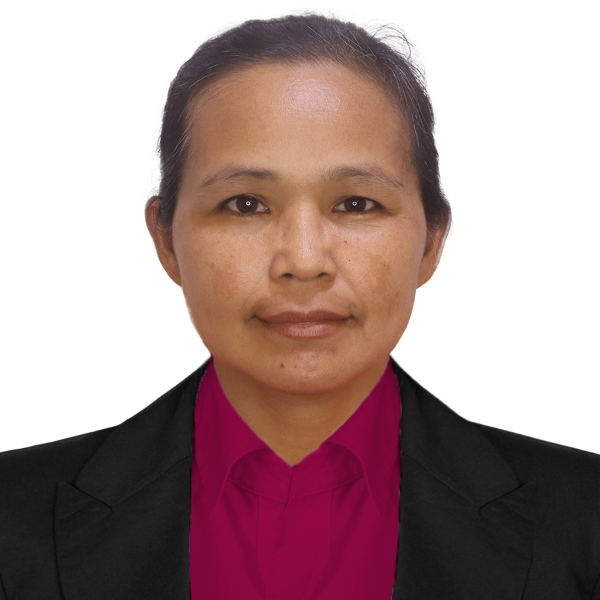 بلاتنيوم - تفاصيل العاملة