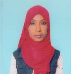 بلاتنيوم - تفاصيل العاملة