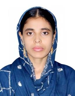 بلاتنيوم - تفاصيل العاملة