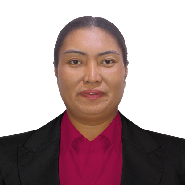 بلاتنيوم - تفاصيل العاملة