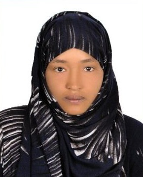 بلاتنيوم - تفاصيل العاملة