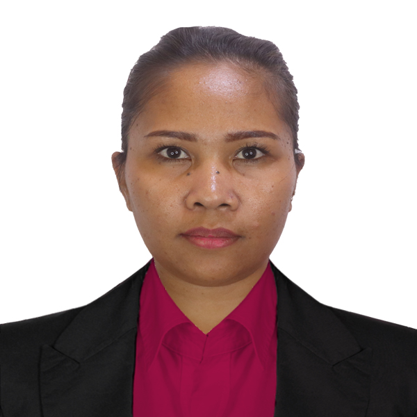 بلاتنيوم - تفاصيل العاملة