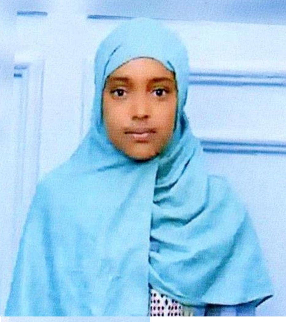 بلاتنيوم - تفاصيل العاملة